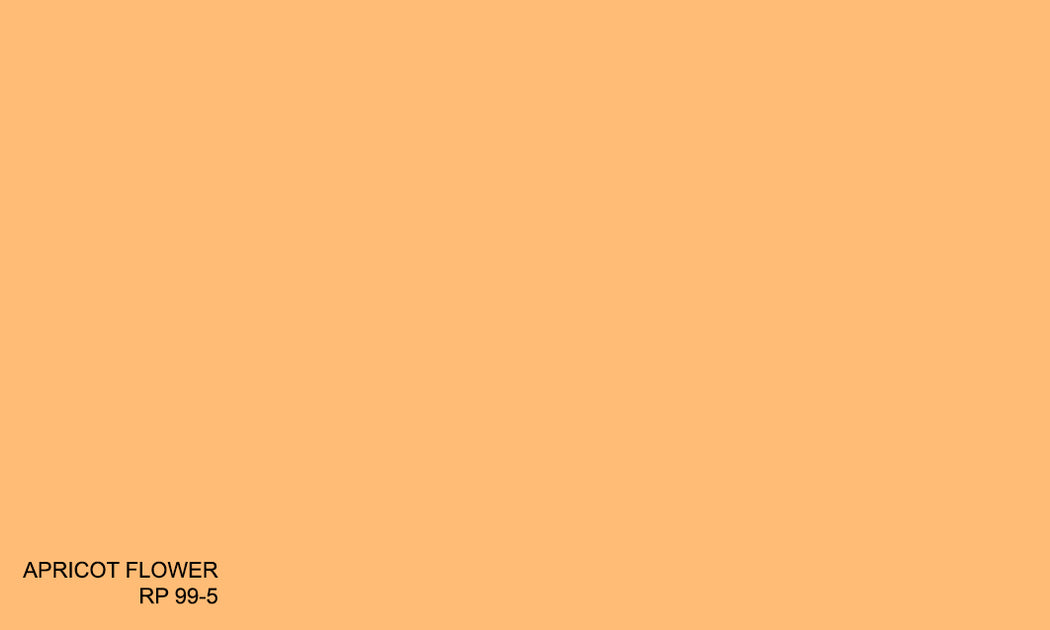 APRICOT FLOWER RP 99-5 (R.ONE ANTIMOULD) – Raffles Paint Pte Ltd