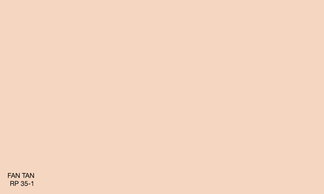 FAN TAN RP 35-1 R.WASH – Raffles Paint Pte Ltd