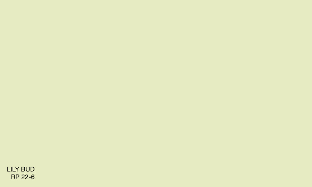 LILY BUD RP 22-6 R.AIRPURIFY – Raffles Paint Pte Ltd