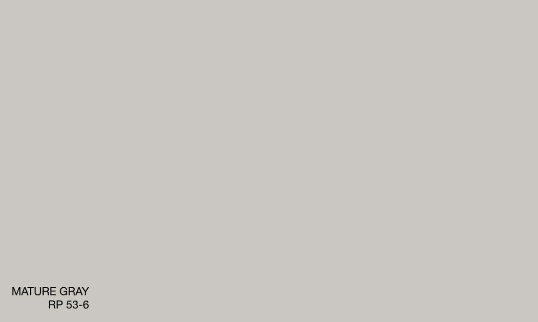 MATURE GRAY RP 53-6 (R.ONE) – Raffles Paint Pte Ltd