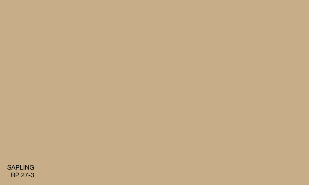 SAPLING RP 27-3 (R.ONE EXTERIOR) – Raffles Paint Pte Ltd