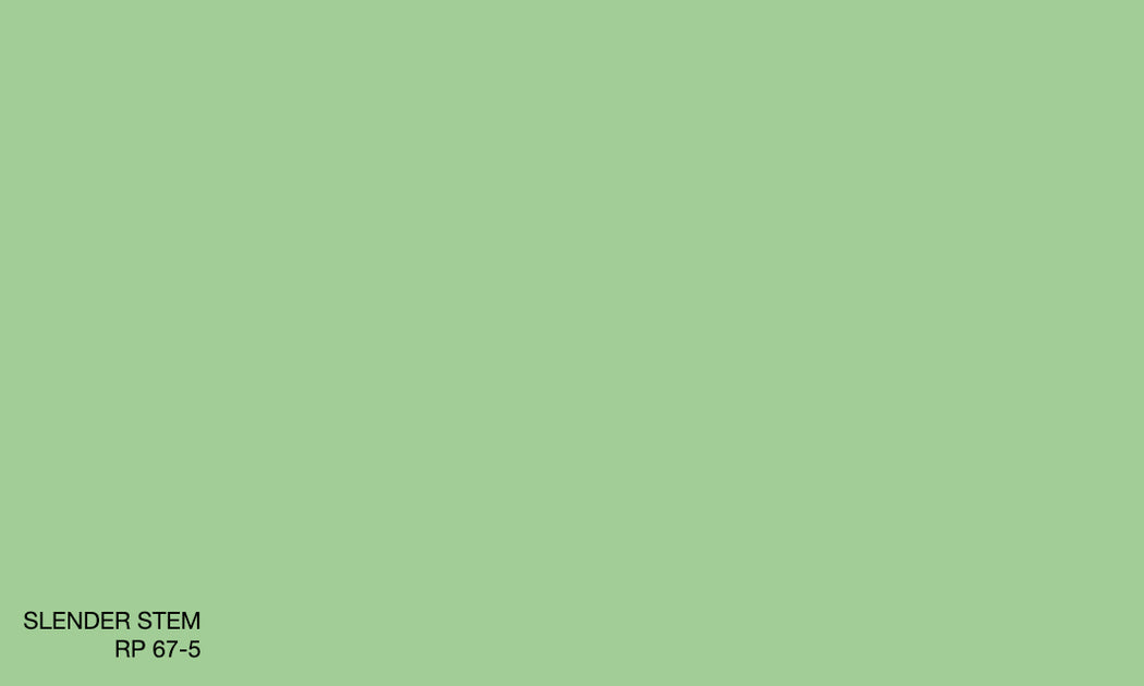 SLENDER STEM RP 67-5 R.One Exterior – Raffles Paint Pte Ltd