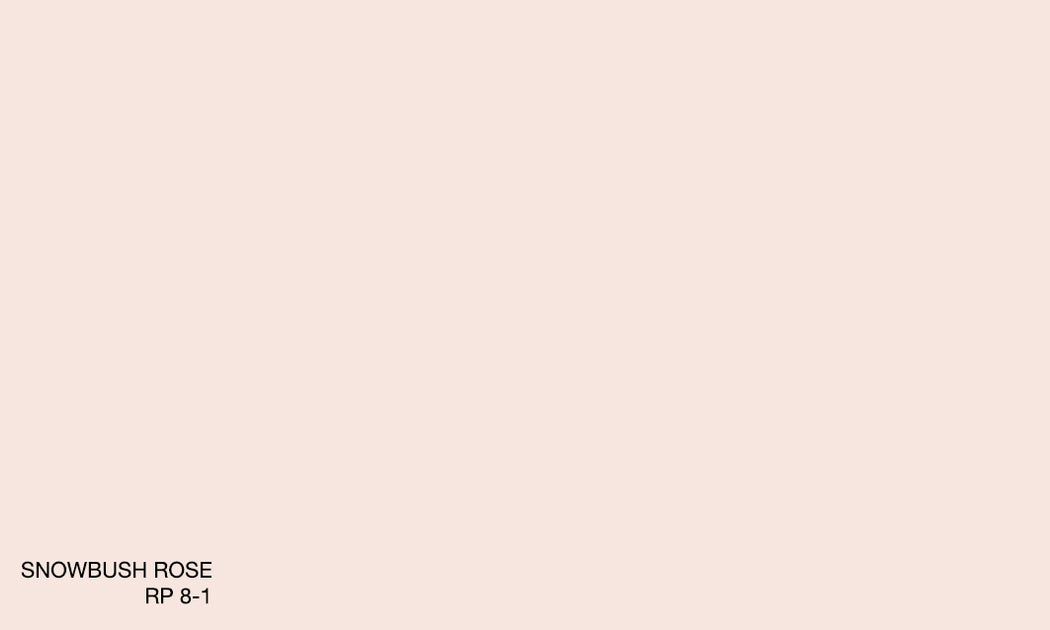 SNOWBUSH ROSE RP 8-1 (R.ONE EXTERIOR) – Raffles Paint Pte Ltd