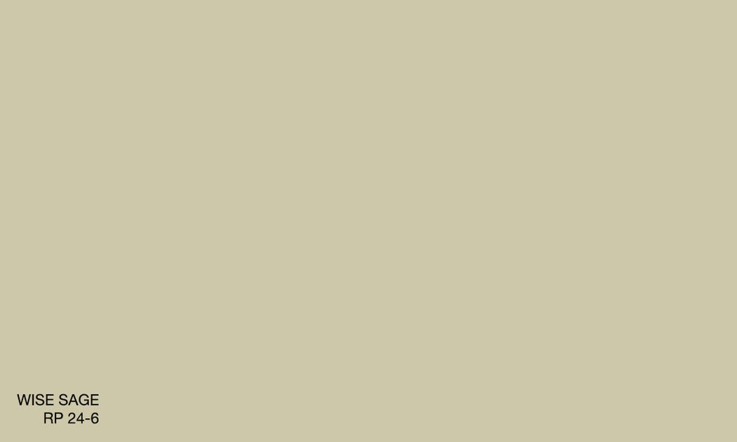 WISE SAGE RP 24-6 R.One Exterior – Raffles Paint Pte Ltd