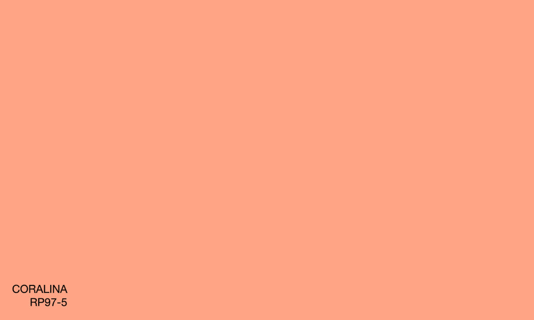 R.ONE Colour Selection - Apply "RP10" for 10% OFF – Tagged "Oranges ...