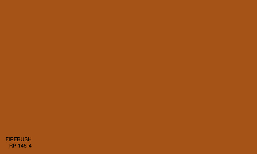 R.BABY (ORANGE COLOR SELECTIONS) – Raffles Paint Pte Ltd